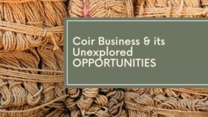 How to Start Coir Business: Types of Coir Products and Market Opportunities